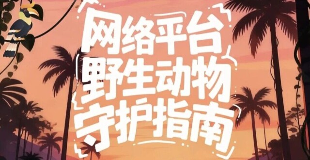 网络冲浪顺手救个“它”？这份指南请收好！_腾讯新闻