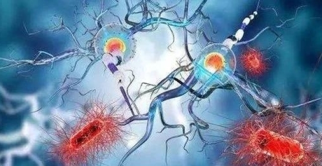 亚盛医药：潜在"同类最佳"Bcl-2抑制剂APG-2575治疗AML最新数据于2024 ASCO公布_腾讯新闻