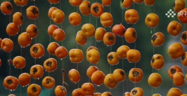 CCTV-9纪录片甜美广西今晚播出！_腾讯新闻