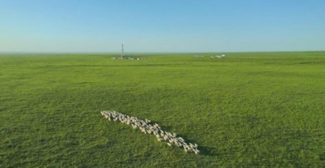 草原上的“鱼水情”——长庆油田援建北疆牧区巩固民族团结成果采撷_腾讯新闻