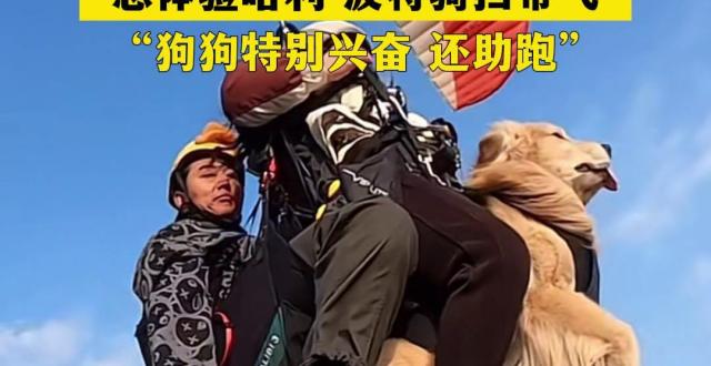 主人坐大金毛玩滑翔伞：想体验哈利·波特骑扫帚飞 腾讯新闻