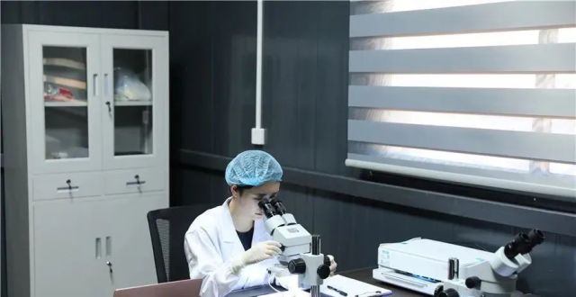 陆成秋：“郧县人”3号头骨化石何以实证百万年人类演化史？_腾讯新闻