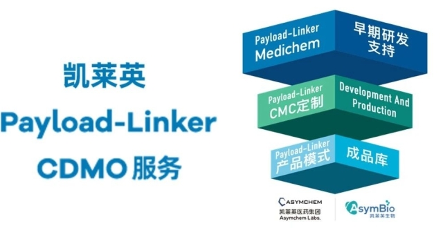 凯莱英医药集团丨Payload-Linker高效优质一站式服务，助力ADC药物实现卓越成就_腾讯新闻