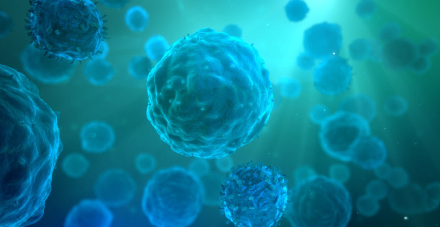 约翰霍普金斯大学Alan Yuille团队 | 从时序和高维数据中定位肿瘤的弱标注方法_腾讯新闻