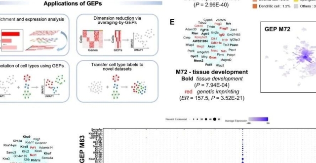 Cell Rep Methods+Plant Commun | 中国科大马世嵩课题组开发新型单细胞基因共表达网络分析算法_腾讯新闻