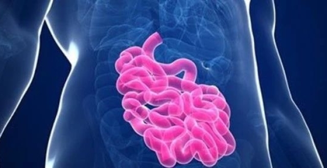 71亿美元！罗氏收购Telavant 公司，获得靶向TL1A的新型抗体RVT-3101_腾讯新闻