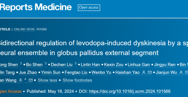 Cell Rep Med | 复旦大学王坚/邬剑军等团队合作发现左旋多巴诱导的运动障碍在苍白球外侧部特定神经系统中的双向调节作用_腾讯新闻