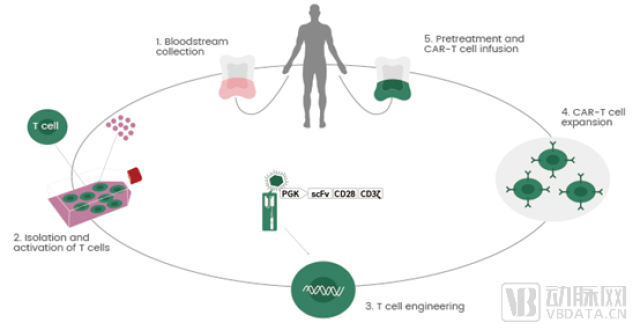 吉利德超8亿美元加码！通用型CAR-iNKT疗法先锋实现10000剂量治疗药物生产_腾讯新闻