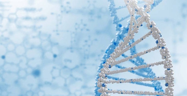 嘉和生物就CD20/CD3双抗GB261达成4.5亿美元加股权的海外授权协议_腾讯新闻