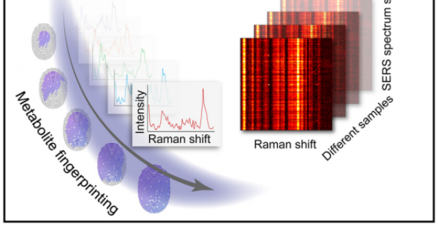 Cell Rep Med | 上海交通大学叶坚/金成/薛蔚/潘家骅开发用于代谢表型和前列腺癌诊断的新方法_腾讯新闻