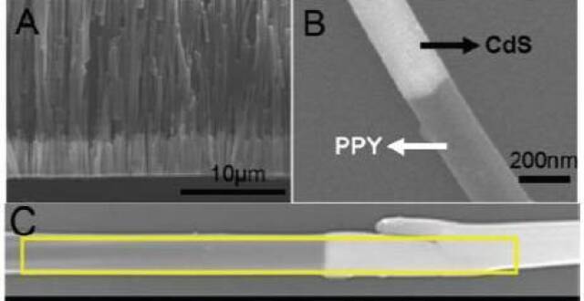 【技能】电镜常用元素分析方法：EDS、EELS、HAADF-STEM_腾讯新闻