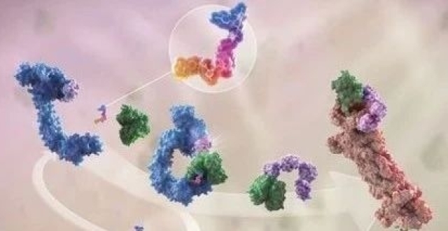 赛诺菲/Kymera：IRAK4降解剂KT-474首次公布化学结构，免疫炎症1期治疗结果积极！_腾讯新闻