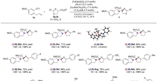 上海交通大学张万斌JACS：Pd/Cu协同催化Wacker-Type的立体发散性双碳官能化反应_腾讯新闻