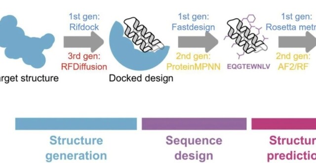 蛋白质binder设计的三代演进：从 Rosetta 到 RFdiffusion_腾讯新闻