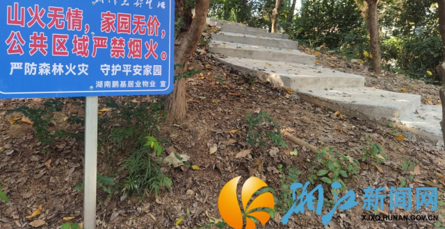 及时清理安全隐患 筑牢平安防线_腾讯新闻