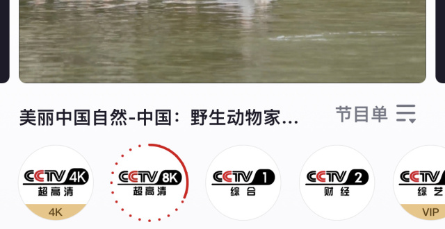 央视频 App 新增 CCTV 8K 电视频道_腾讯新闻