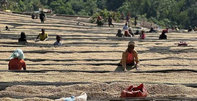闪评 | 对非洲建交国全面实施零关税：三个关键词读懂中国方案_腾讯新闻