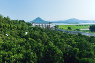 环境保护显成效 枣庄岩马湖白鹭翩飞生态美_腾讯新闻