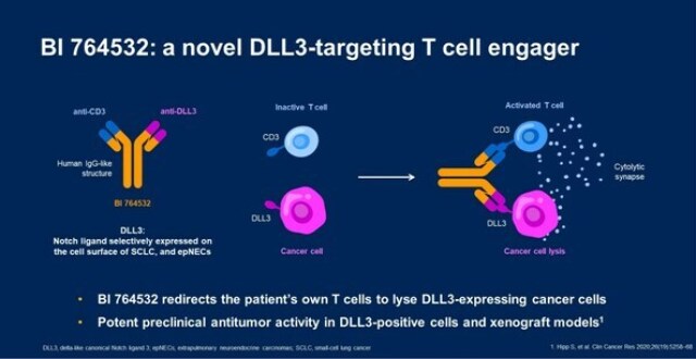 勃林格殷格翰小细胞肺癌新药DLL3/CD3双抗II期临床试验在中国获批_腾讯新闻