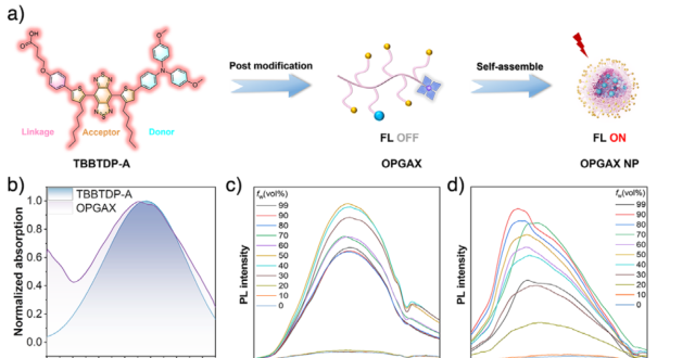 唐本忠院士团队Angew：自组装纳米复合物实现NIR-II成像与跨细胞肿瘤治疗_腾讯新闻
