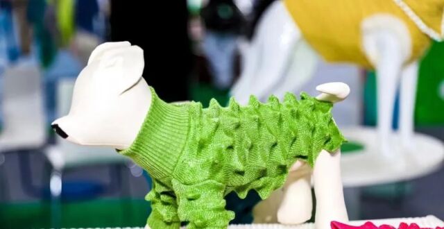 ReGreen Highlights｜10件可持续新鲜事儿_腾讯新闻