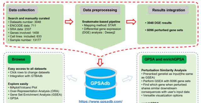 NAR｜重庆医科大学附属第一医院刘胜春教授课题组发布人类基因扰动转录组数据分析平台GPSAdb_腾讯新闻