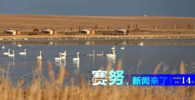 看天下丨全区首笔，在锡盟成功发放！《内蒙古影像方志》今日上线_腾讯新闻