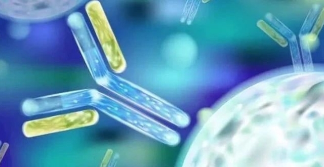 放弃TIGIT单抗，转投TIGIT双抗！BMS的取舍，国内企业早已筹谋_腾讯新闻