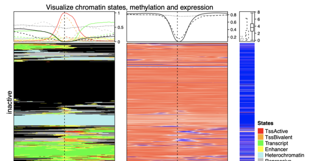 iMeta高被引论文 | 德国国家肿瘤中心顾祖光发表复杂热图(ComplexHeatmap)可视化方法_腾讯新闻