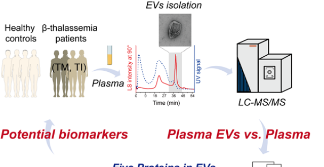 iScience｜中科院杨福全团队在β-地中海贫血患者血浆细胞外囊泡（EVs）定量蛋白质组学研究中取得新进展_腾讯新闻