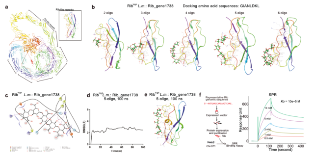 耿美玉团队最新论文，揭示国产阿尔茨海默病新药GV-971靶向肠道细菌的治疗机制_腾讯新闻