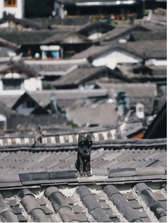 瓦猫变形记：从民间瑞兽到文创萌宠的华丽蜕变_腾讯新闻